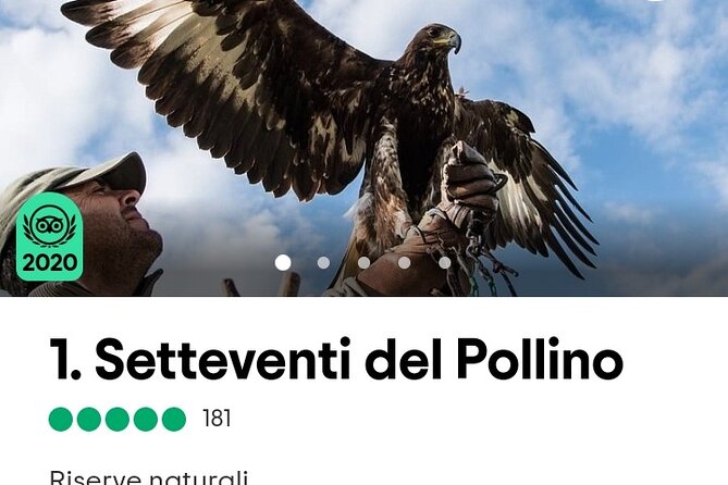 Interactive Educational Course on Birds of Prey - Notable Reviews