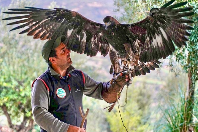 Interactive Educational Course on Birds of Prey - Location and Meeting Point