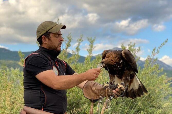 Interactive Educational Course on Birds of Prey - Booking and Confirmation