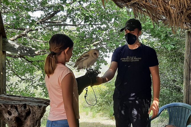 Interactive Educational Course on Birds of Prey - Interaction With Birds of Prey