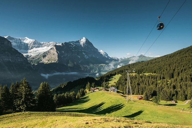 Interlaken and Grindelwald Day Trip from Lucerne - Authentic Experiences and Tips