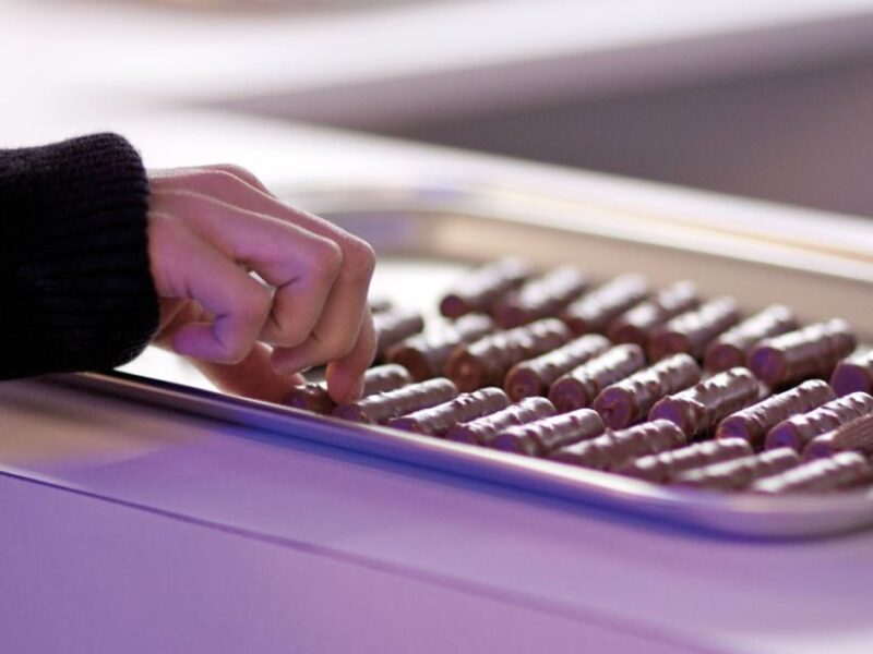 Interlaken: Cheese and Chocolate Full-Day Food Tour - Scenic Photo Stop at La Gruyère Lake