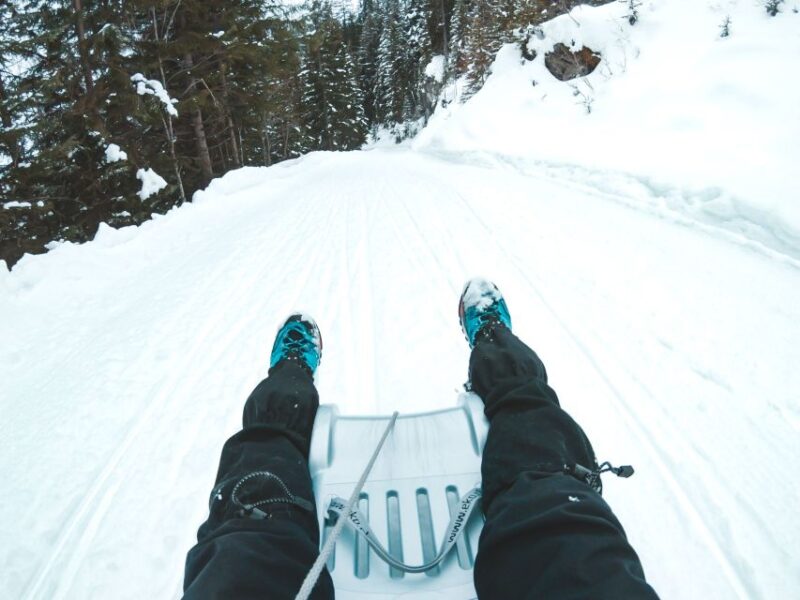 Interlaken: Guided Sledging Adventure - Customer Feedback and Ratings