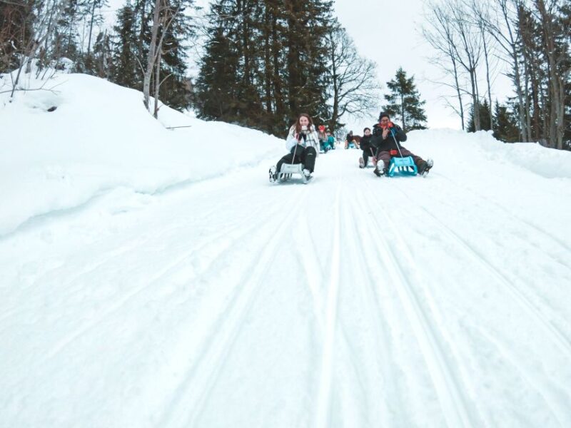 Interlaken: Guided Sledging Adventure - Navigating the Sledging Adventure