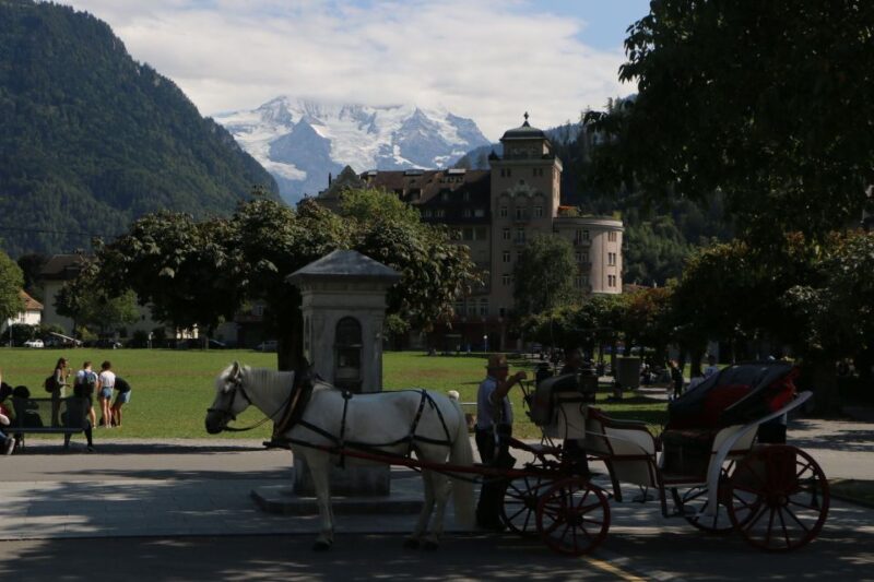 Interlaken: Highlights Tour With a Local by Private Car - Customer Reviews
