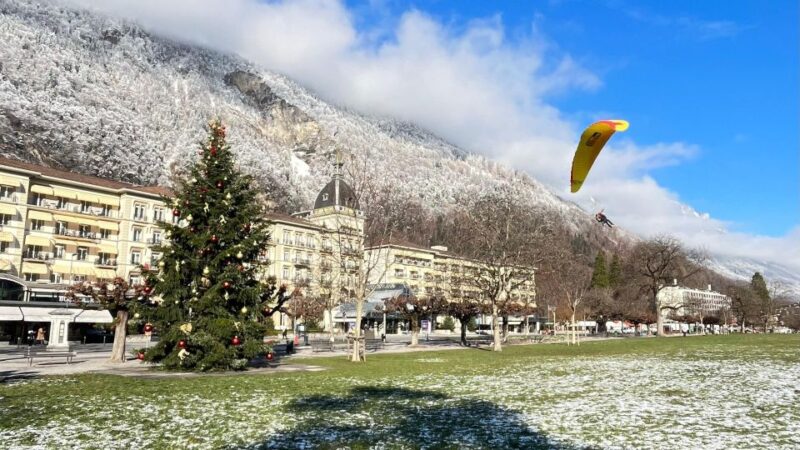 Interlaken: Lauterbrunnen, Wengen, and Grindelwald Day Trip - Customer Feedback