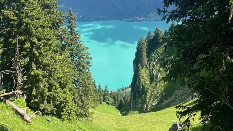 Interlaken: Summit Harder Kulm With a Swiss Triathlete - Breathtaking Views of the Swiss Alps