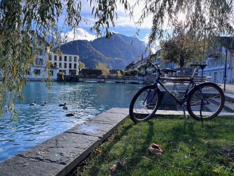Interlaken Valley E-Bike Tour: Rivers, Lakes & Forests - Lake Thun Photo Stop
