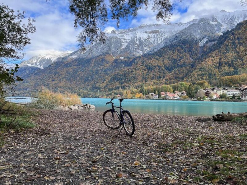 Interlaken Valley E-Bike Tour: Rivers, Lakes & Forests - Amenities and Booking Information