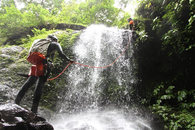 Intermediate canyoning trip in Bali " Samba canyon " - Assessing the Value: Is It Worth the Price?