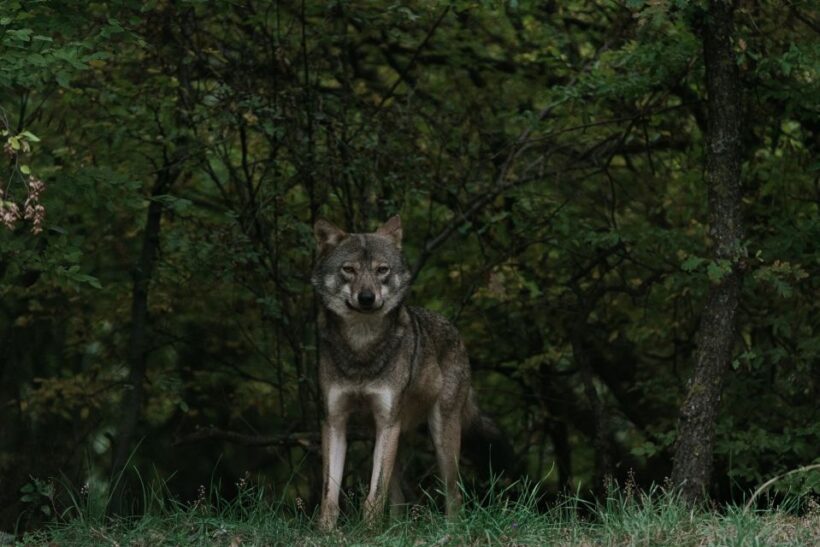 International Environmental Centre of ARCTUROS Tour - Practical Details and What to Expect