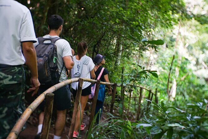 Inthanon National Park Tour with Soft Hike at Pha Dok Siew Trail - An Introduction to the Inthanon Experience