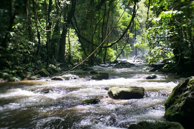 Inthanon National Park Tour with Soft Hike at Pha Dok Siew Trail - The Value of This Tour