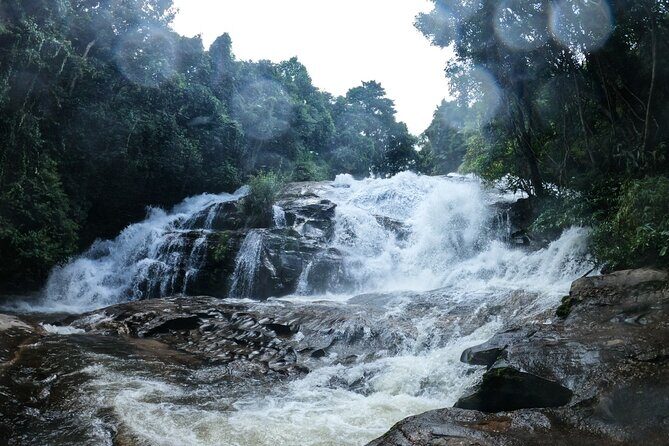 Inthanon National Park Tour with Soft Hike at Pha Dok Siew Trail - Who Should Consider This Tour?