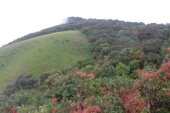 Inthanon Small-Group with Kew Mae Pan Trail from Chiang Mai include Lunch - The Value of This Tour