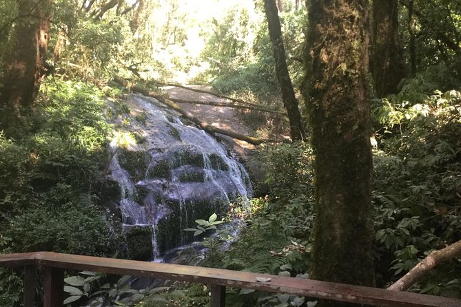 Inthanon Small-Group with Kew Mae Pan Trail from Chiang Mai include Lunch - Who Will Love This Tour?