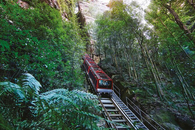 Intimate Blue Mountains Wild Kangaroos & Sunset for Nature Lovers - Who Would Love This Tour?