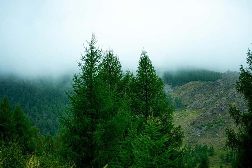 Into the Himalayas: Hiking to Lord Shivas Neelkanth Shrine - The Overall Experience and Value