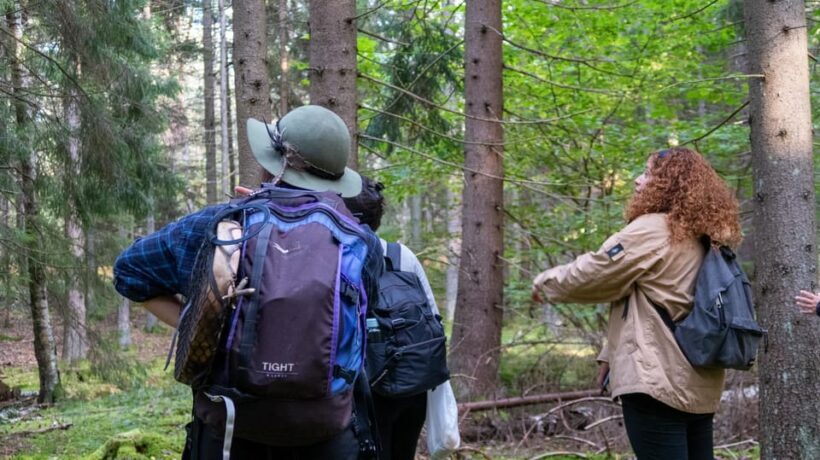 Into the wild - a sensorial experience in Stockholm's woods - A Deep Dive into the Experience