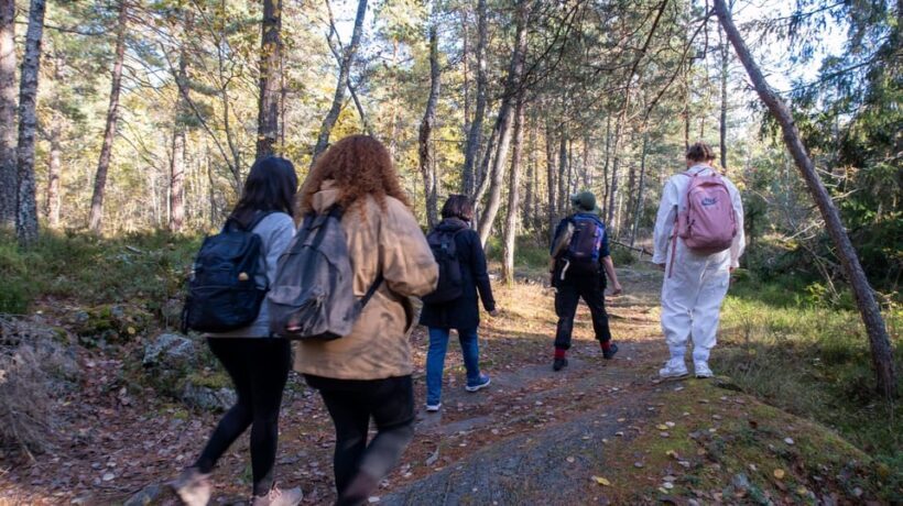 Into the wild - a sensorial experience in Stockholm's woods - Practical Tips for Participants