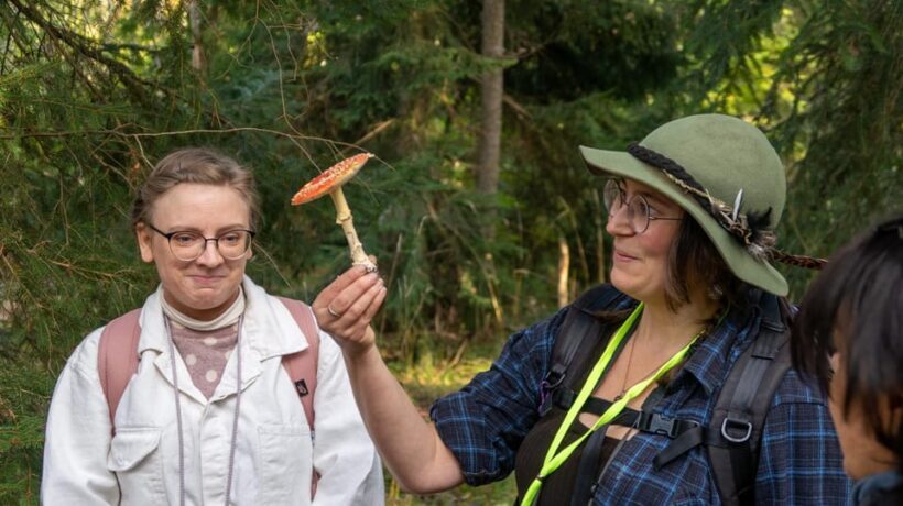 Into the wild - a sensorial experience in Stockholm's woods - FAQ
