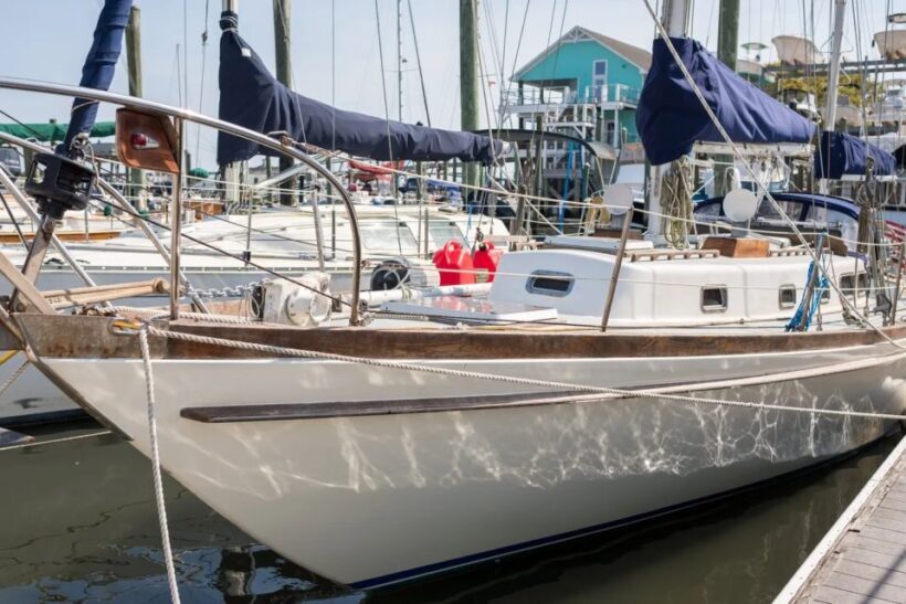 Intracoastal Waterway: Eco Tour - The Itinerary: What to Expect on Your Sail