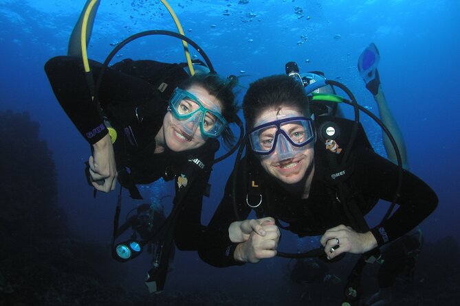 Intro/Refresher Dive Swim Ability Required - Introduction