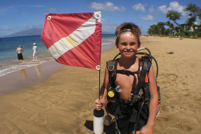 Intro/Refresher Dive Swim Ability Required - FAQ