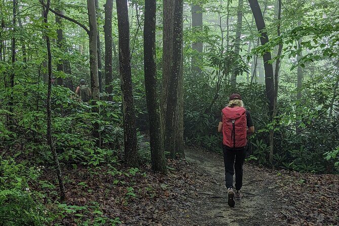 Intro to Camping - Who Will Love This Tour?