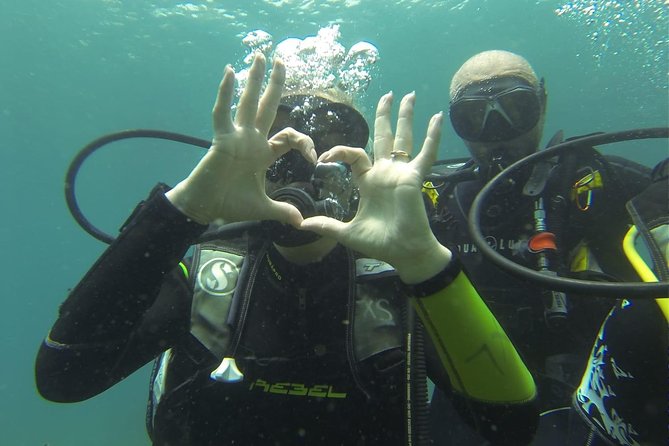 Introdive - The Diving Experience