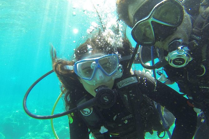 Introdive - Safety Considerations
