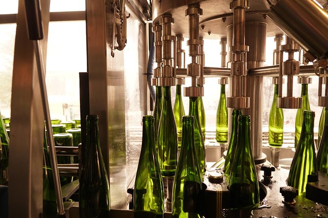 Introduction to Alsace wines - The Sum Up