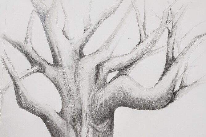 Introduction to Drawing - An Overview of the Experience