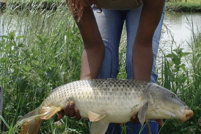 Introduction to fishing in Strasbourg - Price and Value: Is It Worth It?