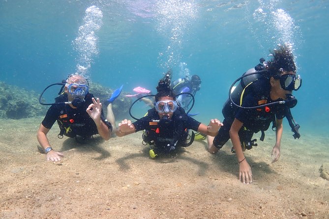Introductory dive for non-certified divers - What to Expect from the Experience