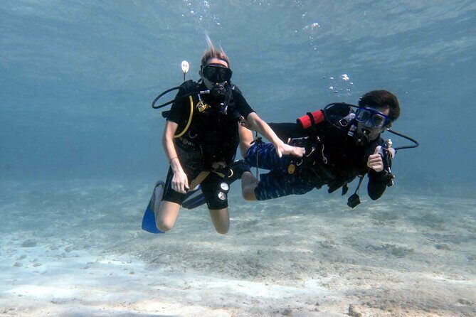 Introductory Diving Class in the Cozumel Reefs - Introduction