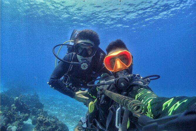 Introductory Diving Class in the Cozumel Reefs - Key Points