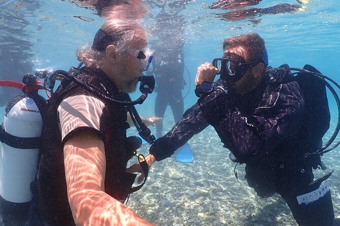 Introductory diving in small groups - What You Can Expect During the Tour