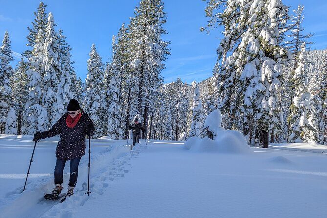 Introductory Guided Snowshoe Tour - Final Thoughts