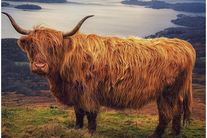 Inverary Castle, Historic Sights and Scenic Beauty from Oban - FAQ