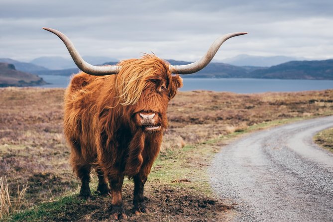 Inverness: Applecross, Loch Carron & the Wild Highlands - Dining Experience in Applecross