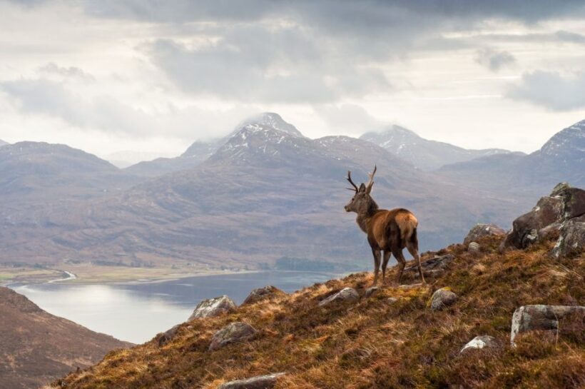 Inverness: Applecross, Loch Carron & Wild Highlands Day Tour - Authentic Experience & Reviews