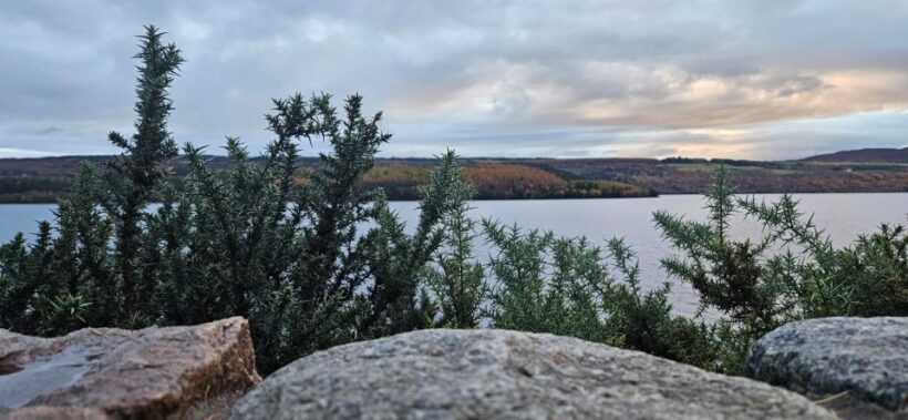 Inverness: Loch Ness Experience 1-Day Tour - Experience Breakdown: What You Can Expect