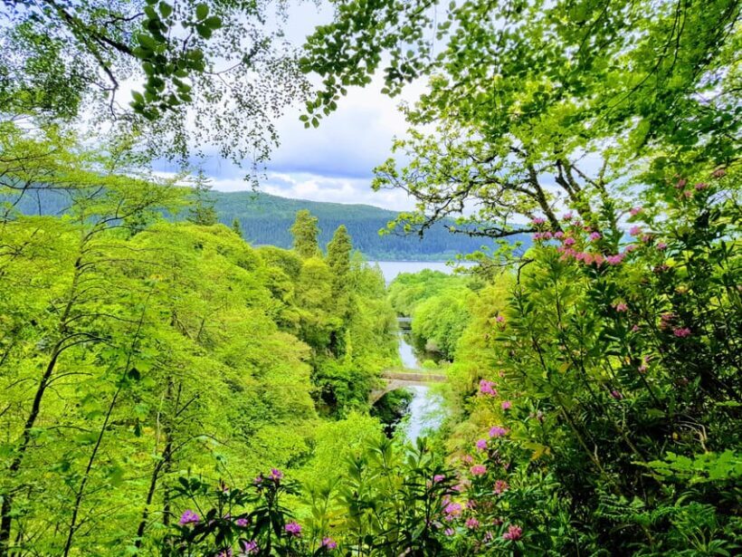 Inverness: Private Secret Hike to the Shores of Loch Ness - Practical Details & What to Expect