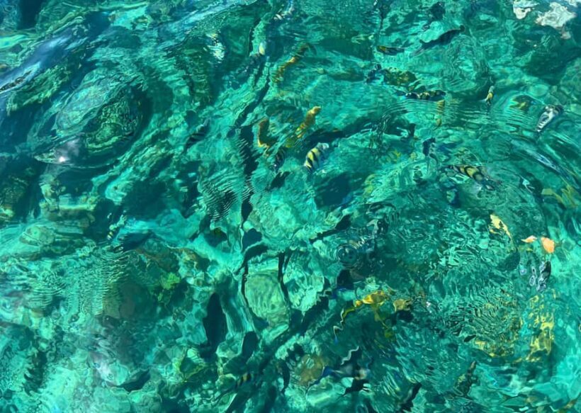 Invisible Boat & Snorkeling Experience at Nassau - Price and Value