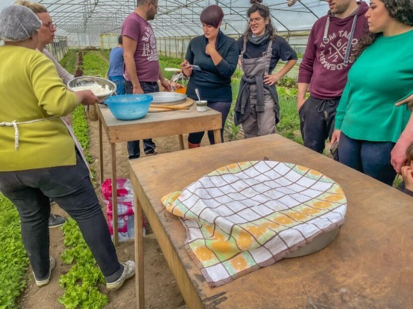 Ioannina: East Zagori Farming Experience & Cooking Class - Making Cheese and Cooking
