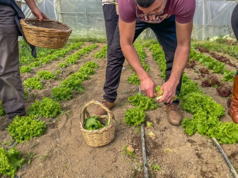 Ioannina: East Zagori Farming Experience & Cooking Class - Who Will Love This Tour?