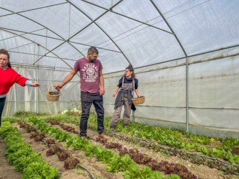 Ioannina: East Zagori Farming Experience & Cooking Class - FAQs