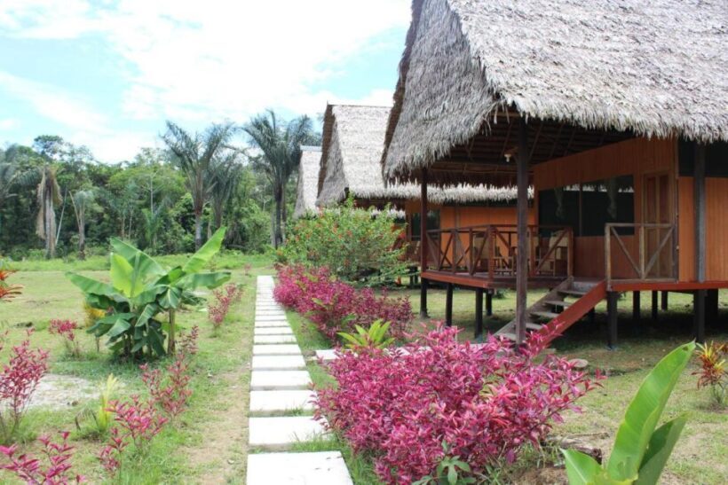 Iquitos: 3 Days and 2 Nights Guided Amazon Jungle Tour - Key Points