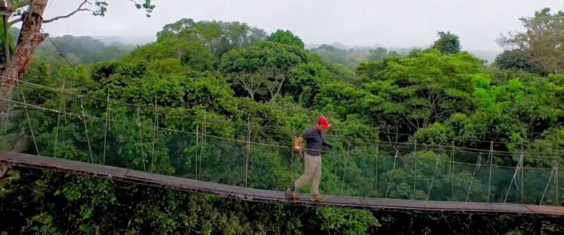 Iquitos: Adventure tour in Iquitos - An In-Depth Look at the Iquitos Adventure Tour